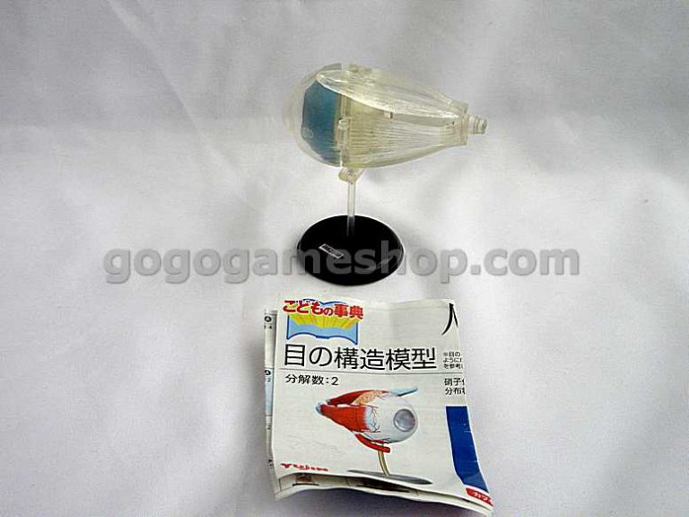 Human Anatomy Atlas Body Parts Structure Miniature Models Set of 15 ...